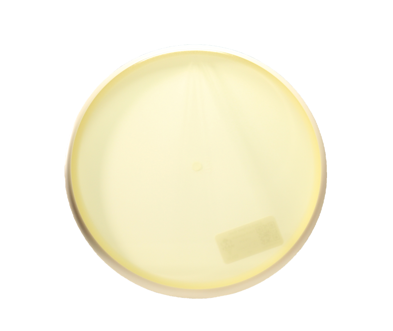 MVP Blank Eclipse Watt Putter – Hazy Shade